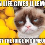 Grumpy Cat lemons Meme Generator - Imgflip