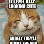 Happy cat Meme Generator - Imgflip