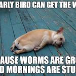 Tired dog Meme Generator - Imgflip