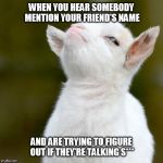Suspicious lamb Meme Generator - Imgflip