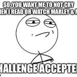 Challenge Accepted Rage Face Meme Generator - Imgflip