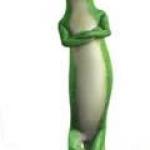 gecko Meme Generator - Imgflip