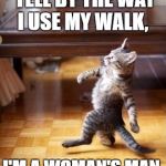 Cool Cat Stroll Blank Meme Template - Imgflip