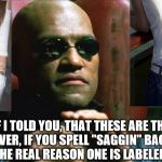 Laurence Fishburne Morpheus Meme Generator - Imgflip