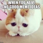 Sad Cat Meme Generator - Imgflip