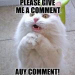 Begging Cat Meme Generator - Imgflip