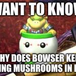 Suspicious Bowser Jr. Meme Generator - Imgflip