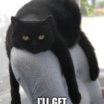 Black Cat Draped on Chair Meme Generator - Imgflip