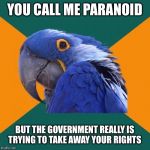 Paranoid Parrot Meme Generator - Imgflip