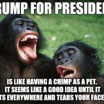 Bonobo Lyfe Blank Meme Template - Imgflip