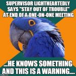 Paranoid Parrot Meme Generator - Imgflip