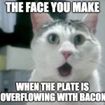 OMG Cat Blank Meme Template - Imgflip