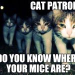 Wrong Neighboorhood Cats Blank Meme Template - Imgflip