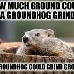 Groundhog Meme Generator - Imgflip