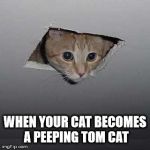 Ceiling Cat Meme Generator - Imgflip