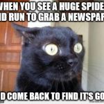 Scared Cat Meme Generator - Imgflip