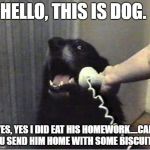 Yes this is dog Meme Generator - Imgflip