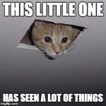 Ceiling Cat Meme Generator - Imgflip