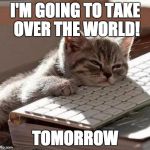 tired cat Meme Generator - Imgflip