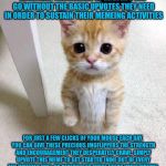 Cute Cat Meme Generator - Imgflip