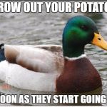 Actual Advice Mallard Meme Generator - Imgflip