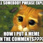 Shrek Cat Meme Generator - Imgflip