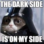 Grumpy Cat Star Wars Meme Generator - Imgflip