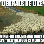 sheep Meme Generator - Imgflip