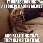 sad dog Meme Generator - Imgflip