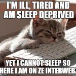 tired cat Meme Generator - Imgflip