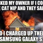 Burn Kitty Meme Generator - Imgflip