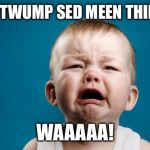 BABY CRYING Meme Generator - Imgflip
