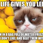Grumpy Cat lemons Meme Generator - Imgflip