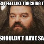 Hagrid Meme Generator - Imgflip