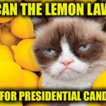 Grumpy Cat lemons Meme Generator - Imgflip