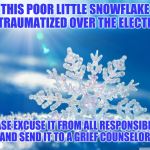 snowflake Meme Generator - Imgflip