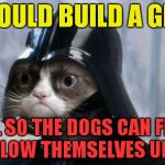 Grumpy Cat Star Wars Meme Generator - Imgflip