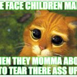 Shrek Cat Meme Generator - Imgflip