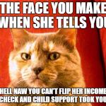 Suspicious Cat Blank Meme Template - Imgflip