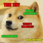 Doge Meme Generator - Imgflip
