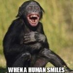 Laughing monkey Meme Generator - Imgflip
