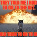 cat explosion Meme Generator - Imgflip