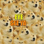 Multi Doge Meme Generator - Imgflip