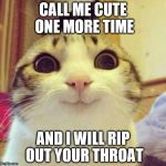 Smiling Cat Meme Generator - Imgflip