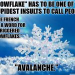 snowflake Meme Generator - Imgflip
