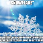 snowflake Meme Generator - Imgflip