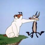 Wiley & Sam Meme Generator - Imgflip