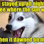 Pun dog - husky Meme Generator - Imgflip