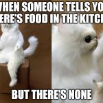 Persian Cat Room Guardian Meme Generator - Imgflip