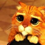 ffgh Meme Generator - Imgflip